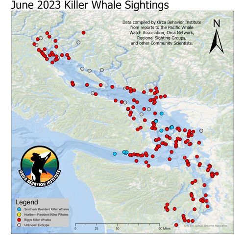 Sightings Maps | Orca Behavior Institute